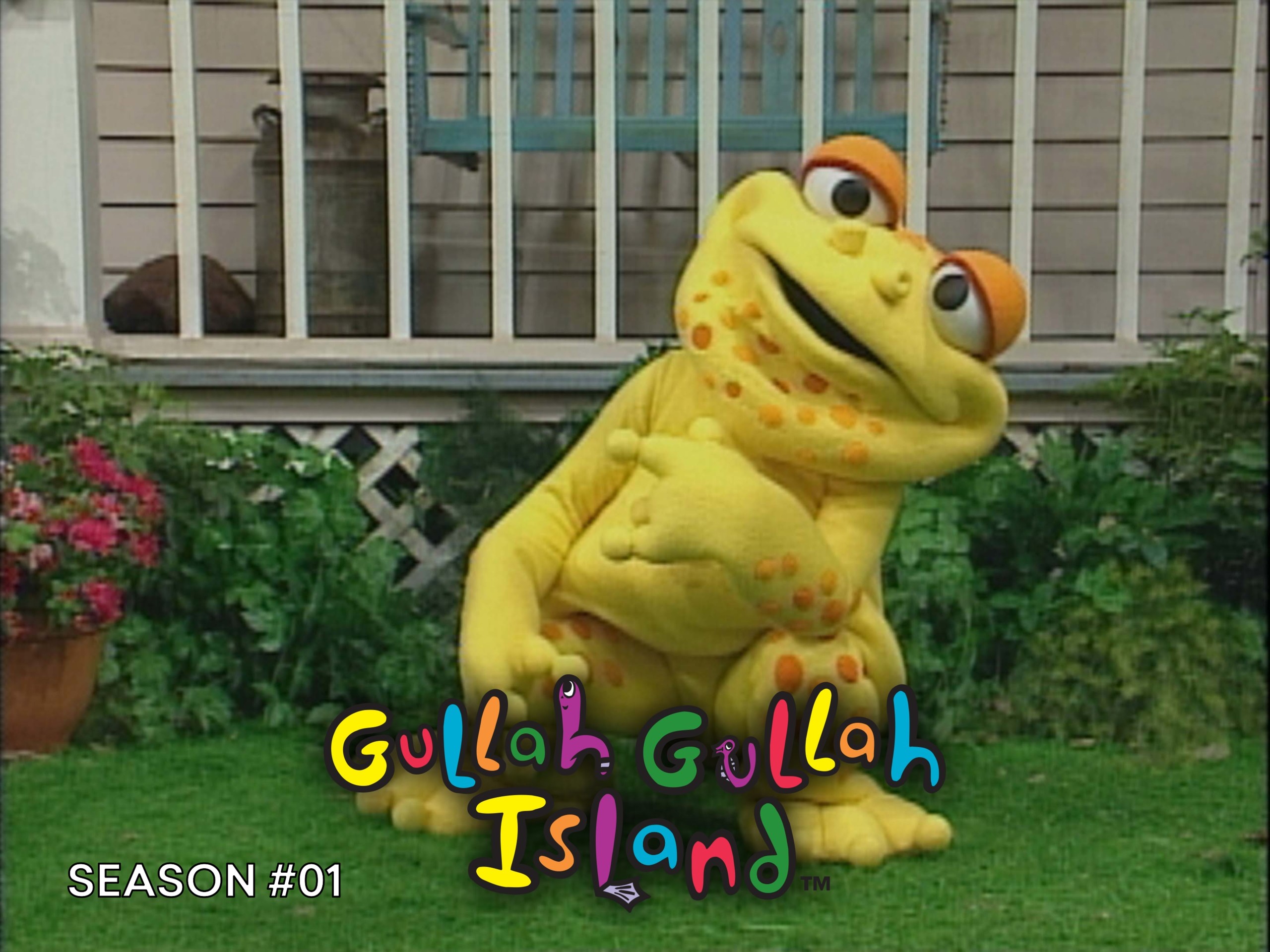 Prime Video: Gullah Gullah Island Season 1