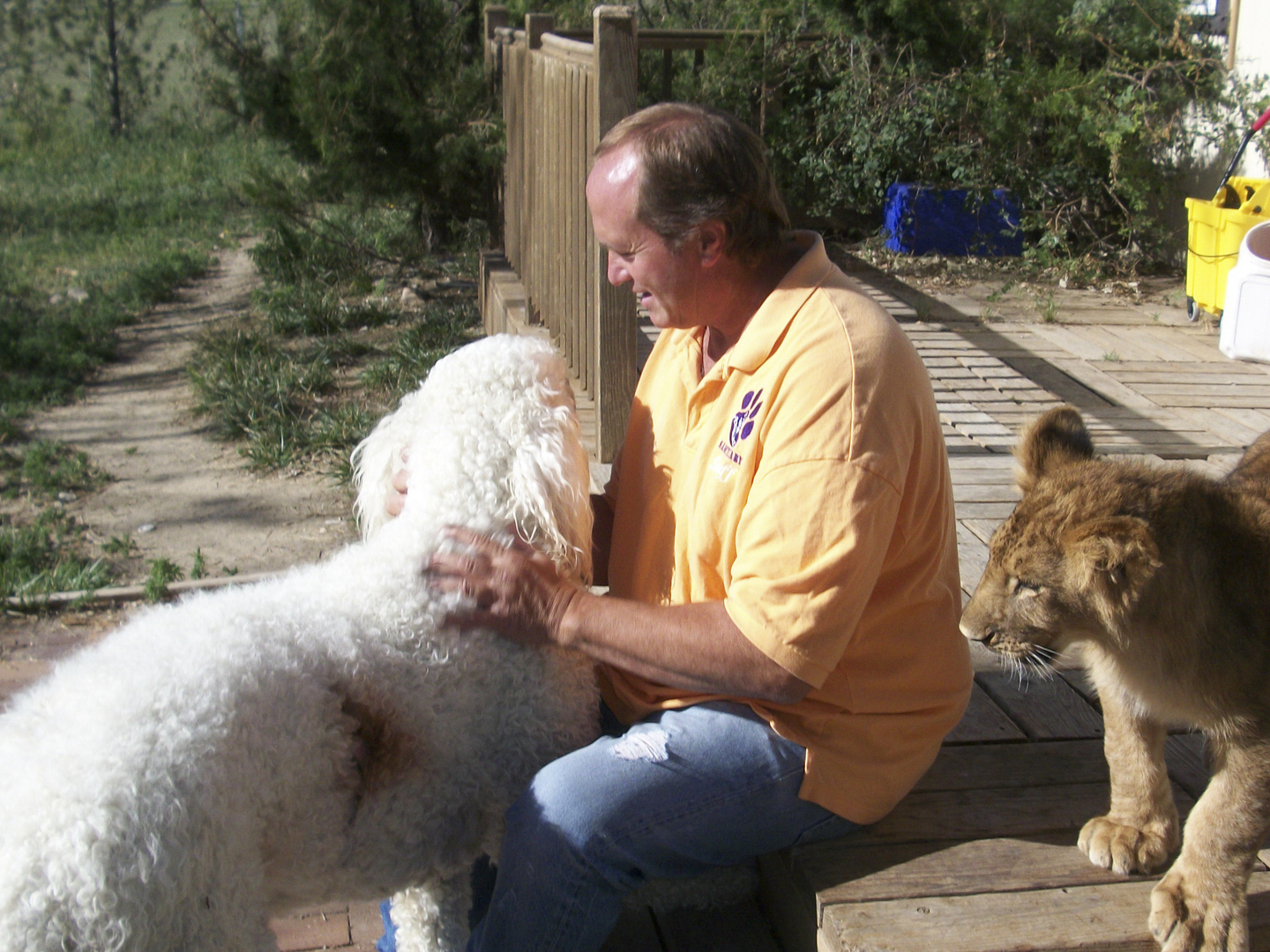 Prime Video: Dogs 101 - Season 3