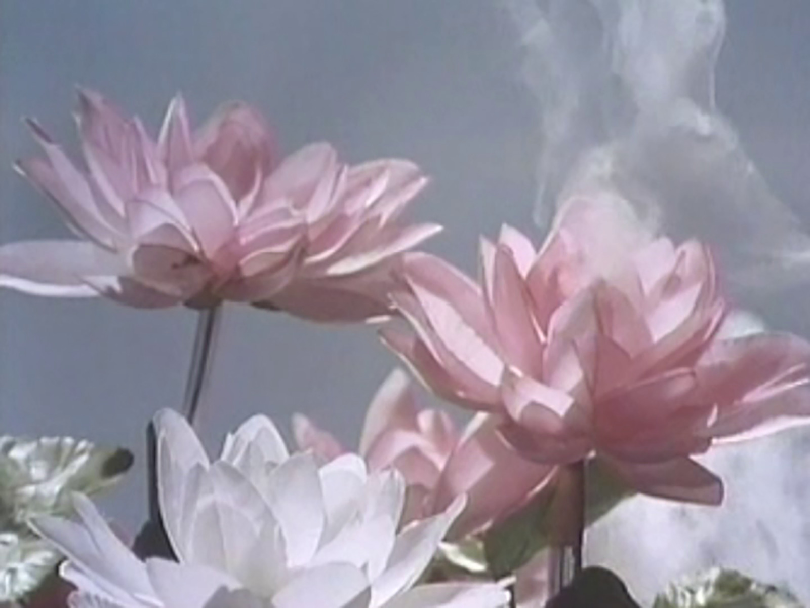 Prime Video: Policial de Aço Jiban