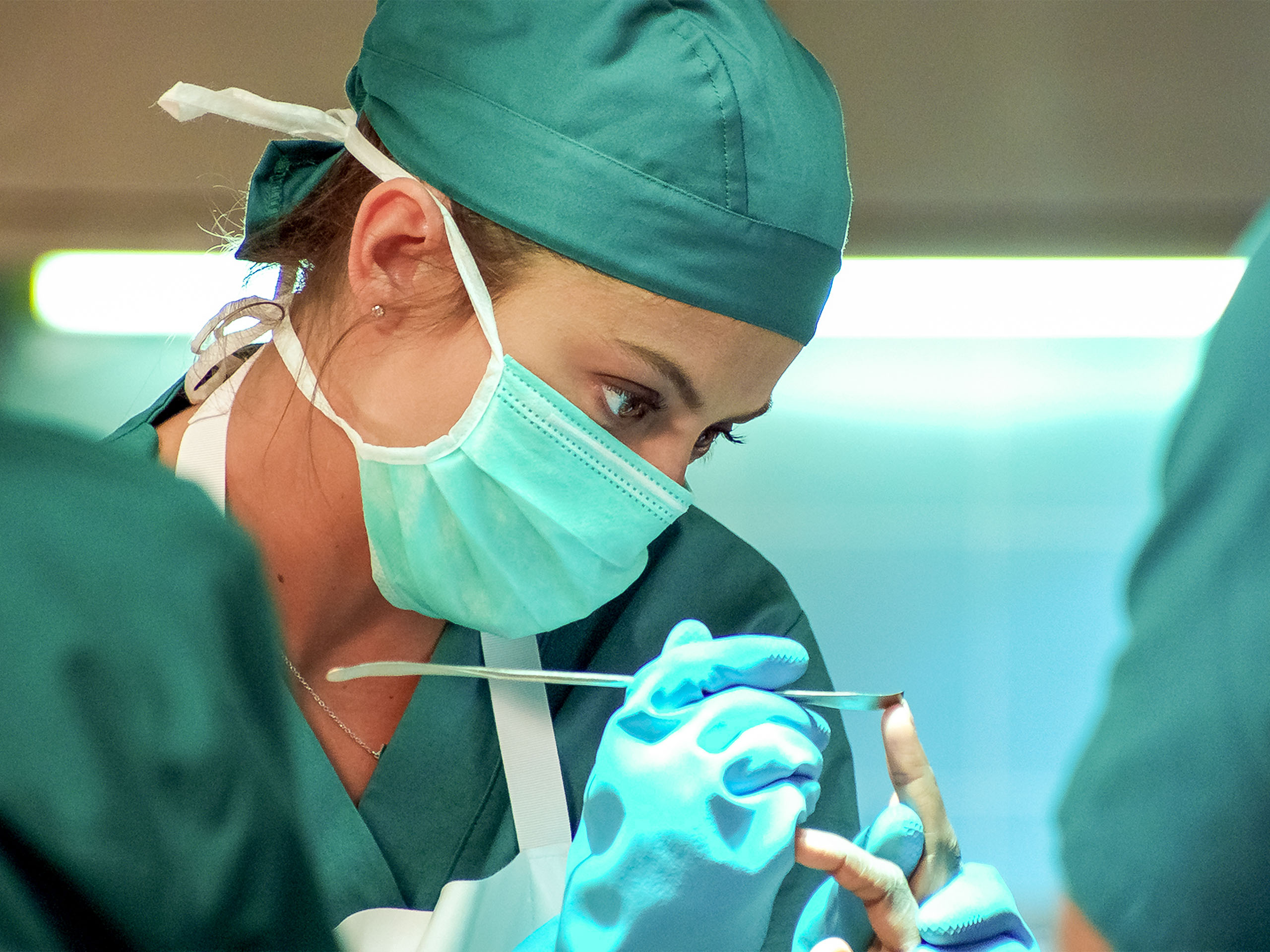 Prime Video: The Good Apprentice, Season 1