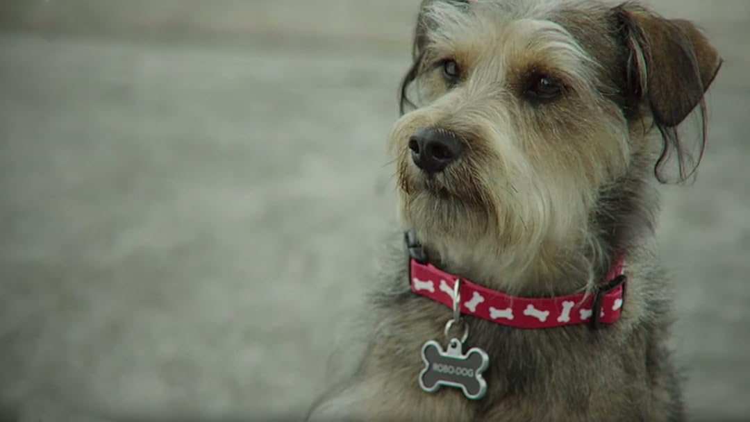 Amazon.com: Robo-Dog: Airborne : Jonathan Silverman, Patrick Muldoon ...