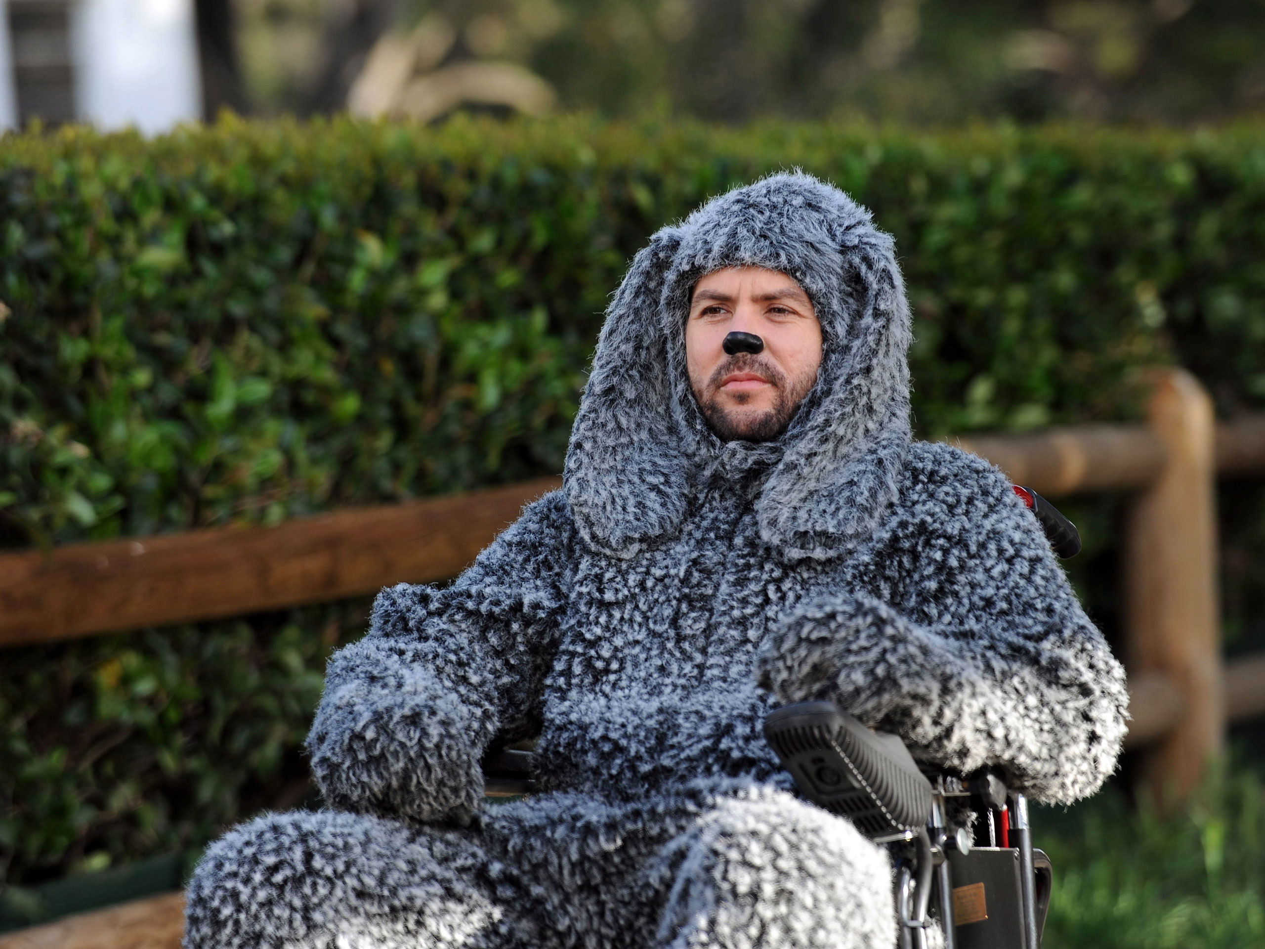 Prime Video: Wilfred