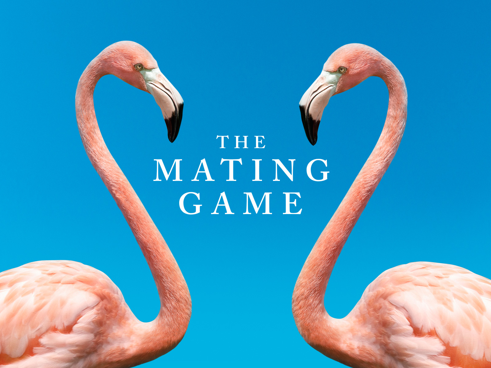 Prime Video: The Mating Game - Season 1