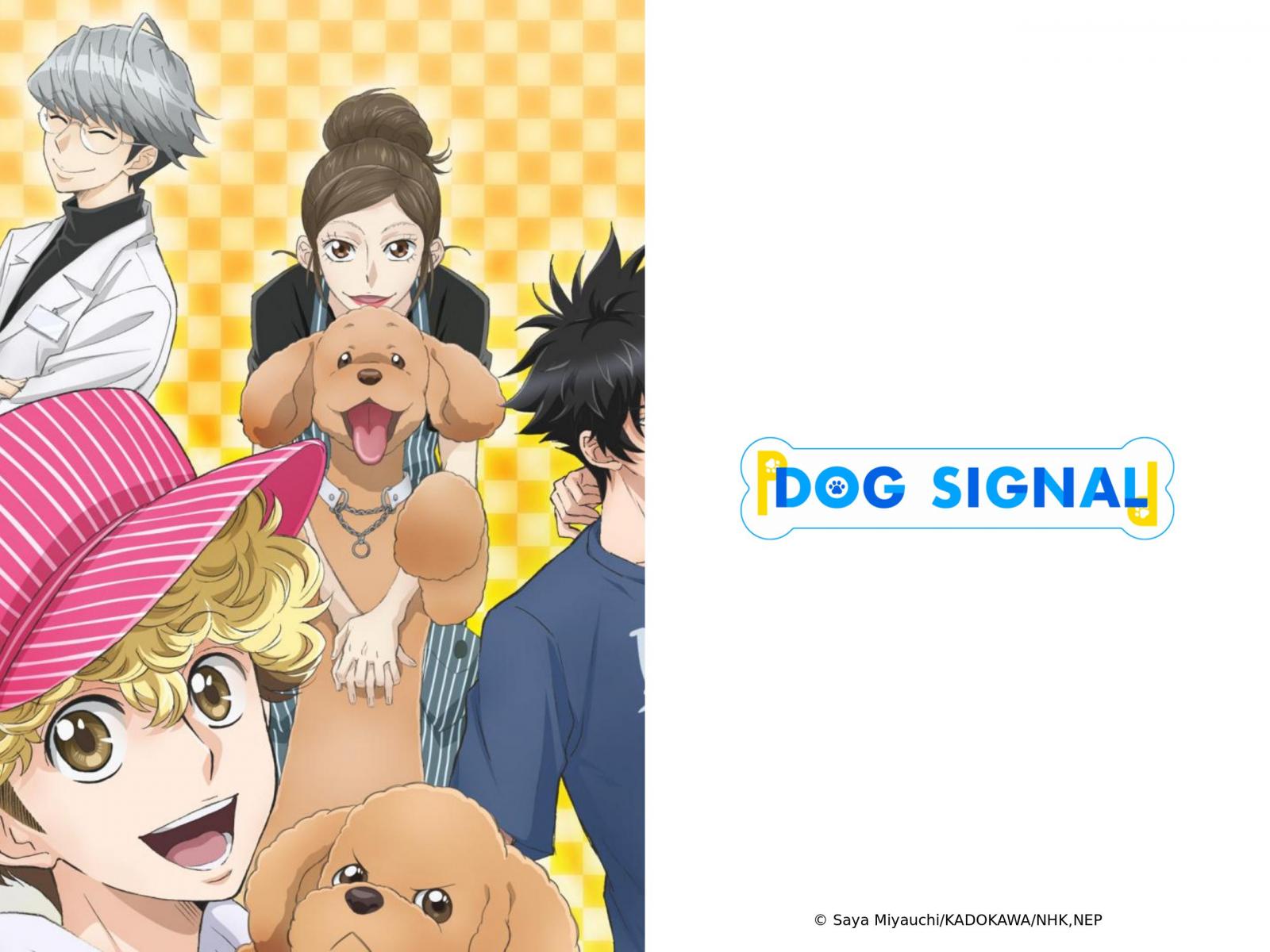 Prime Video: Dog Signal - Season 1