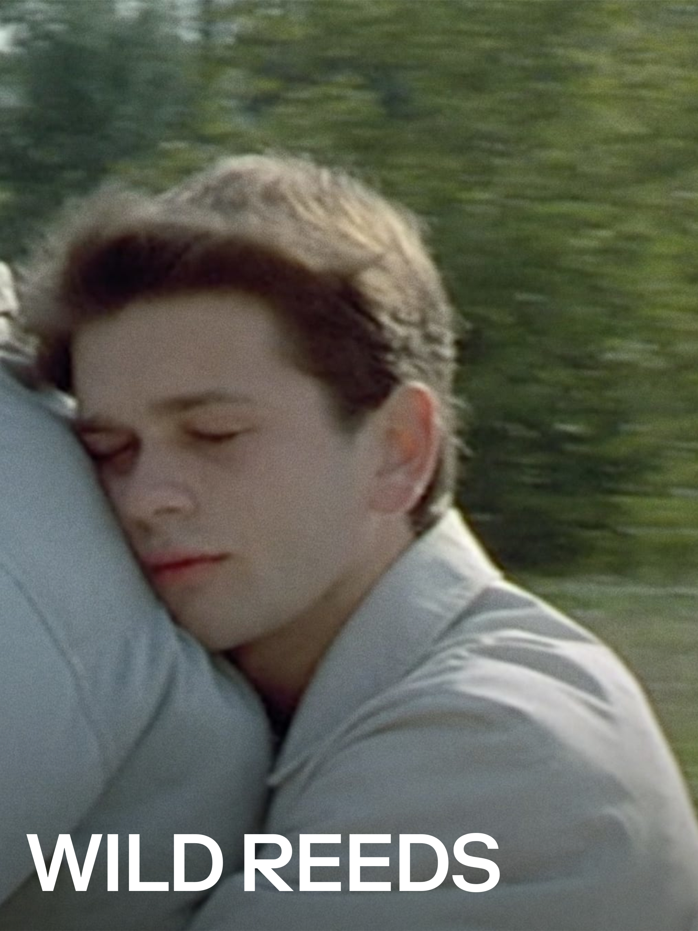 Prime Video: Wild Reeds