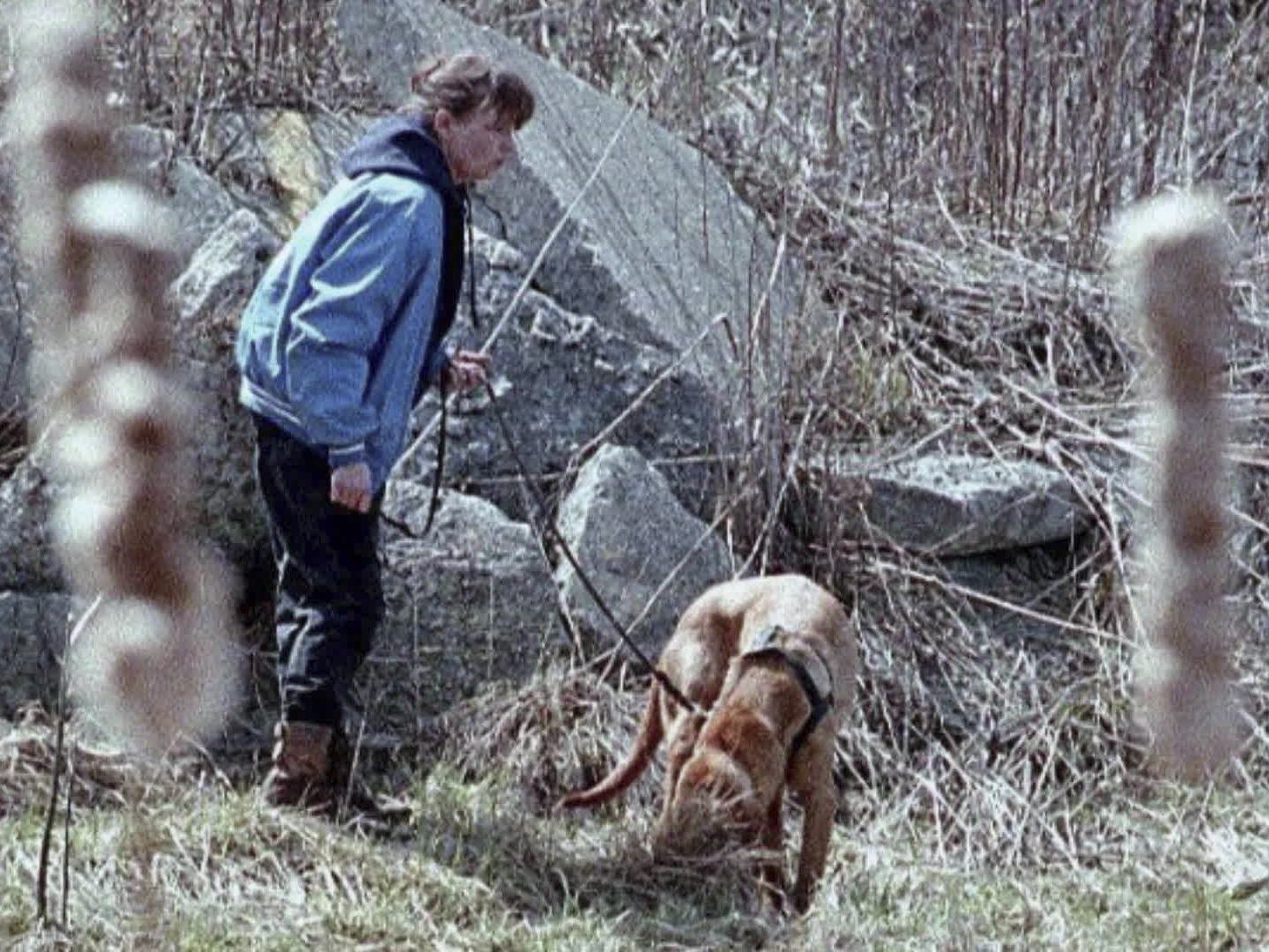 Prime Video: Kids Behind Bars: Life or Parole - Season 2