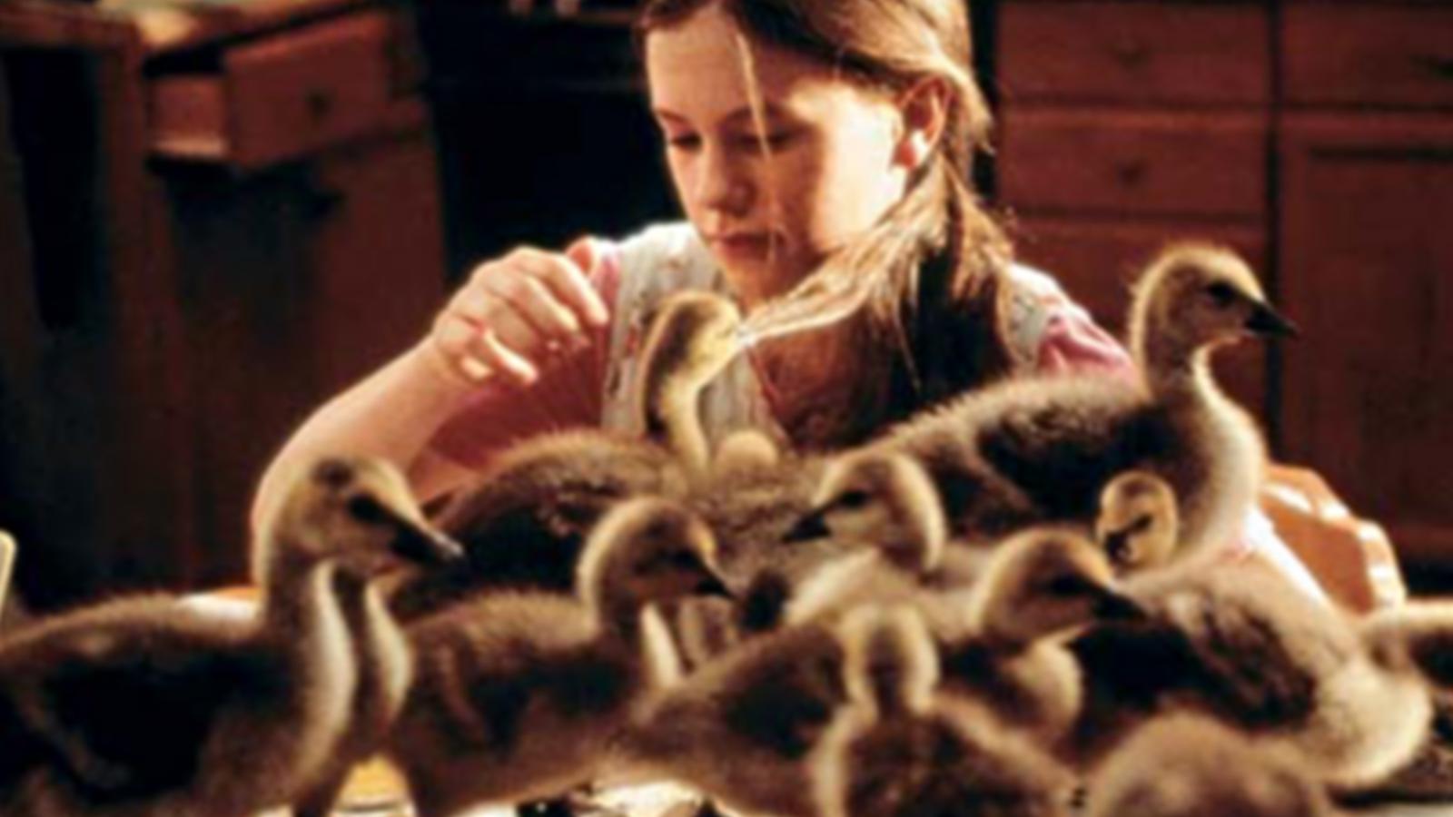Watch Fly Away Home | Prime Video