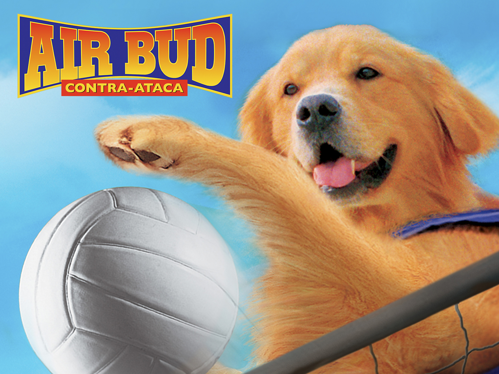 Prime Video: Air Bud 5: Spikes Back - Season 1