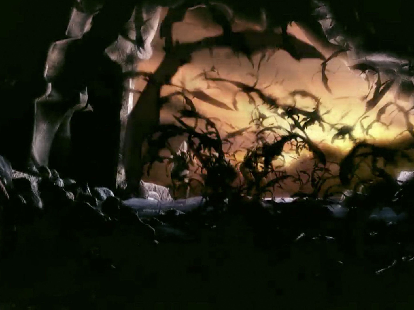 Prime Video: Dark Matters: Twisted But True - Season 2