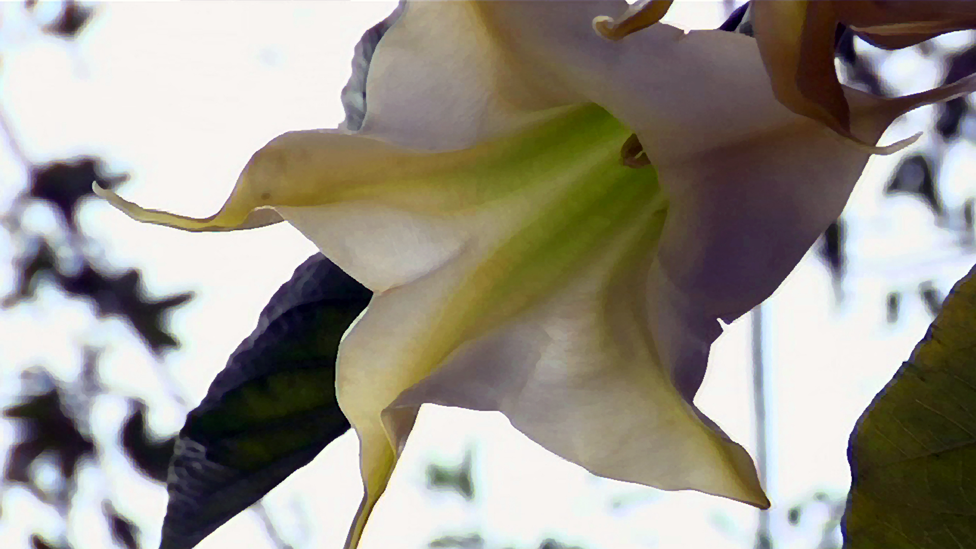 Watch Devil's Breath | Prime Video