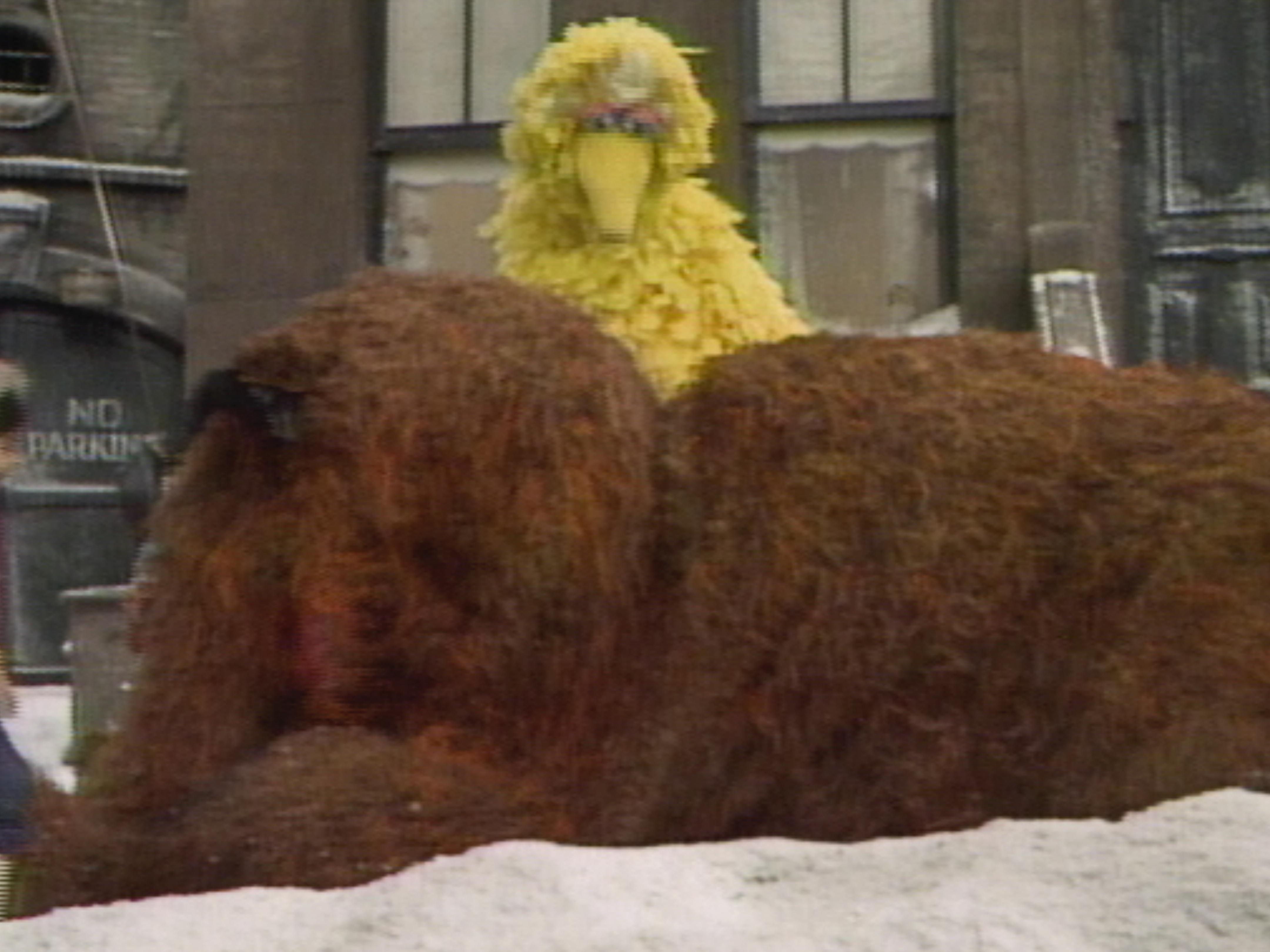 Prime Video: Sesame Street - Season 7