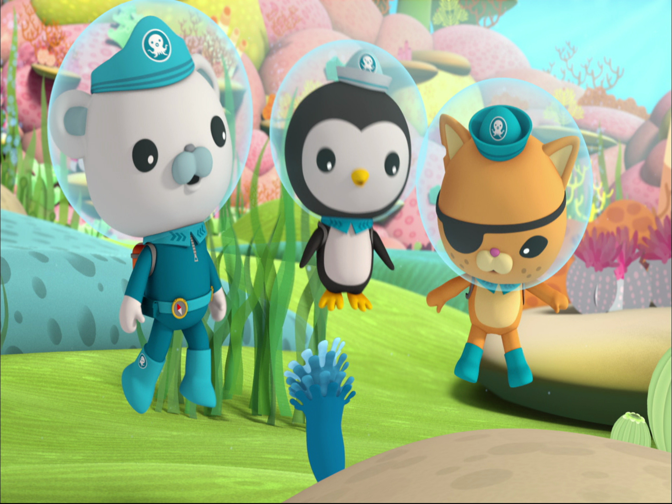 Prime Video: Les Octonauts - saison 3