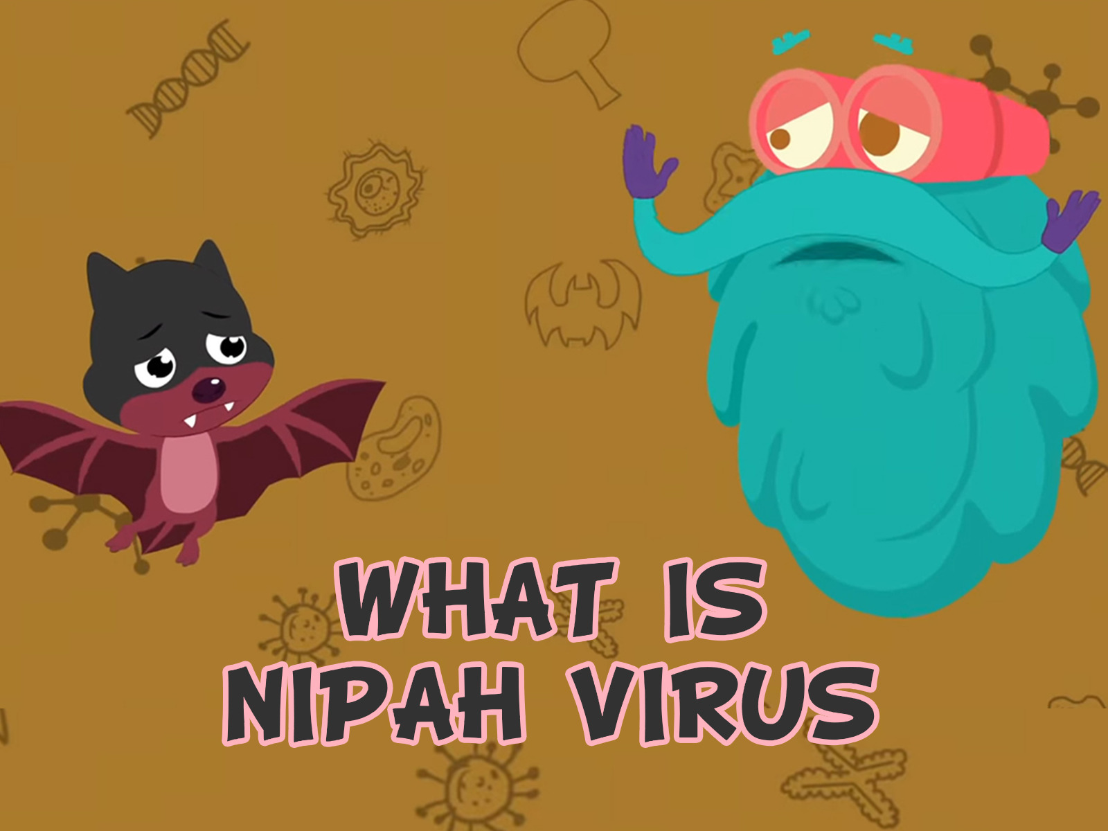 Prime Video: The Dr. Binocs Show