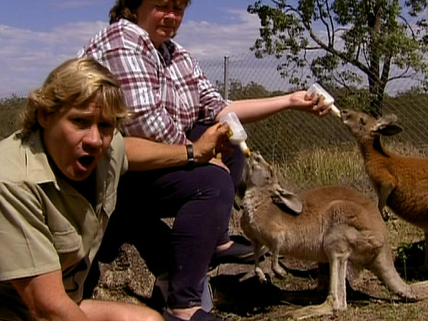 Prime Video: Crocodile Hunter Diaries - Season 2
