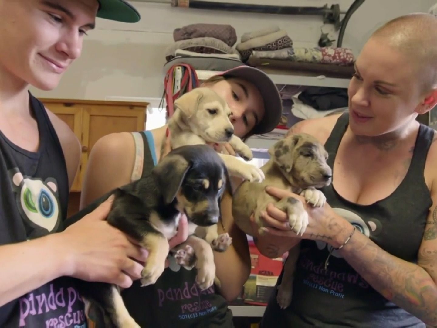 Prime Video: Amanda to the Rescue - Season 1