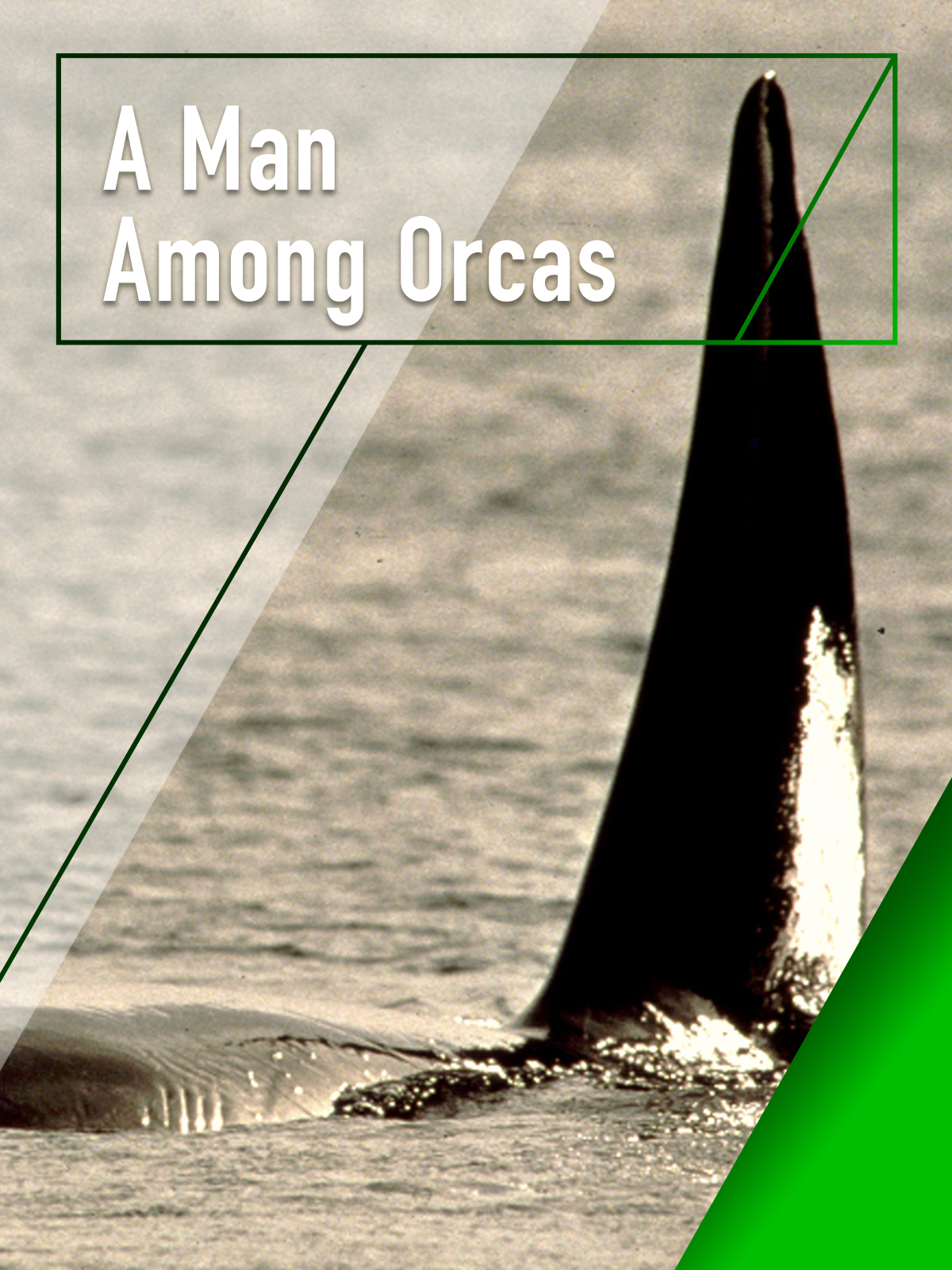 Prime Video: A Man Among Orcas