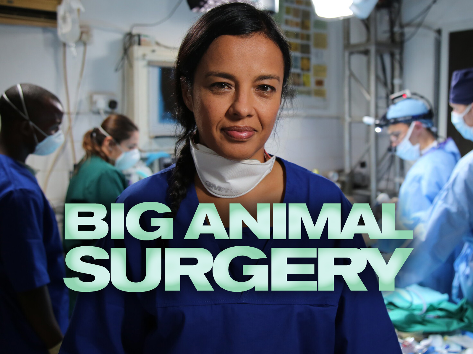 Prime Video: Big Animal Surgery