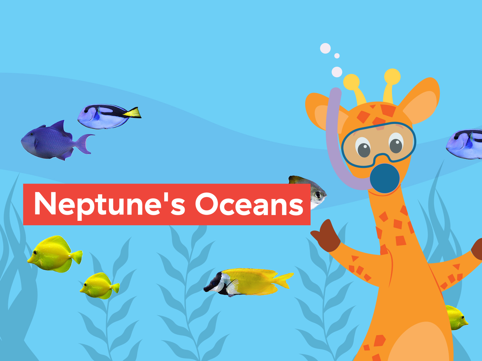 Prime Video: Baby Einstein Classics