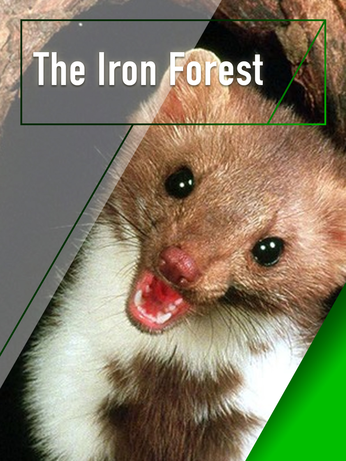 Prime Video: The Iron Forest