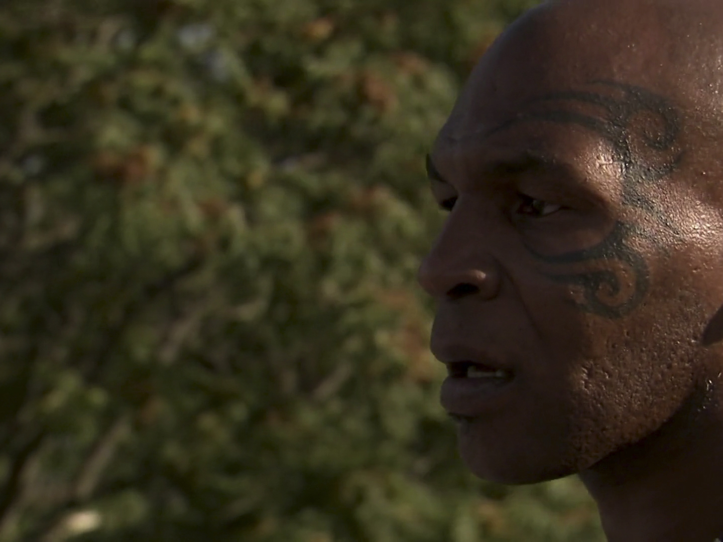 Prime Video: Taking on Tyson - Season 1