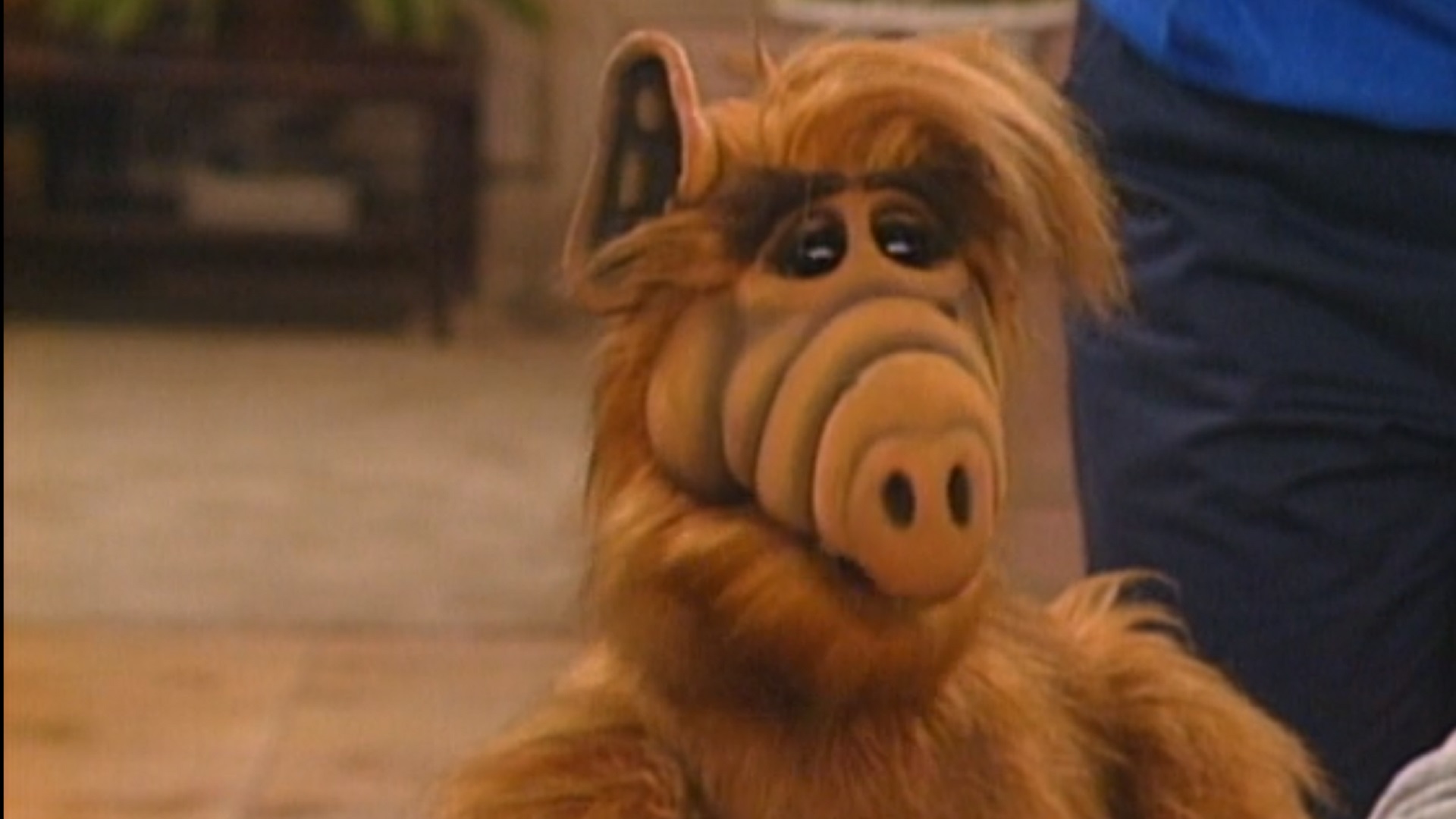 Watch ALF | Prime Video