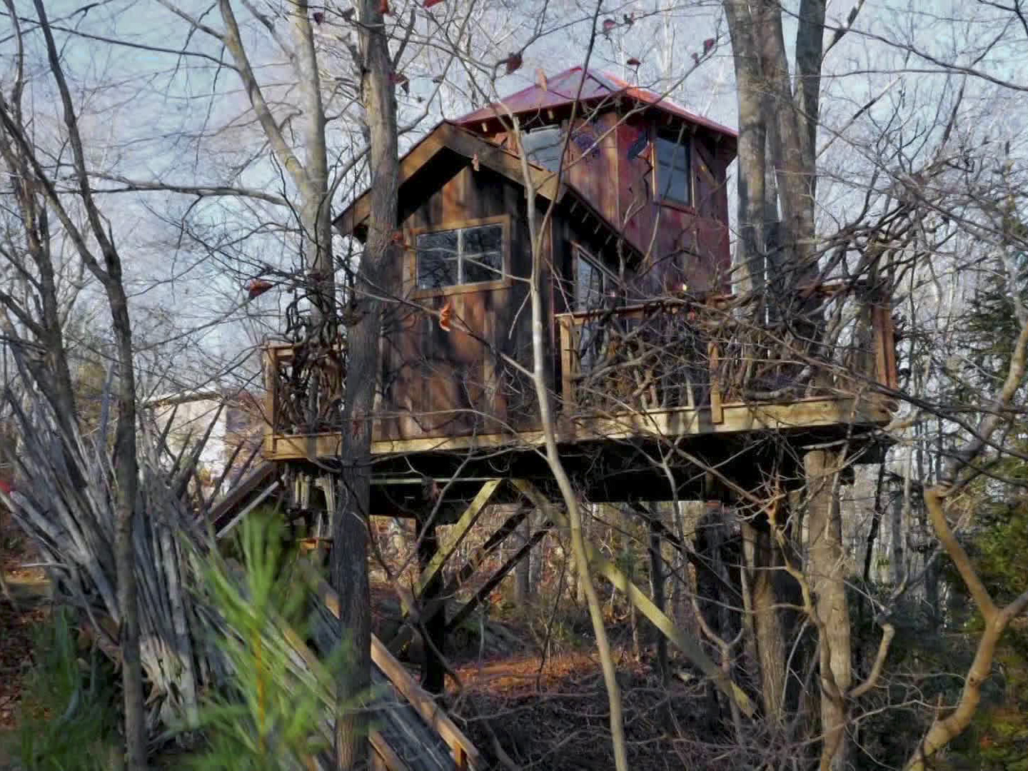 Prime Video: Treehouse Masters - Season 5
