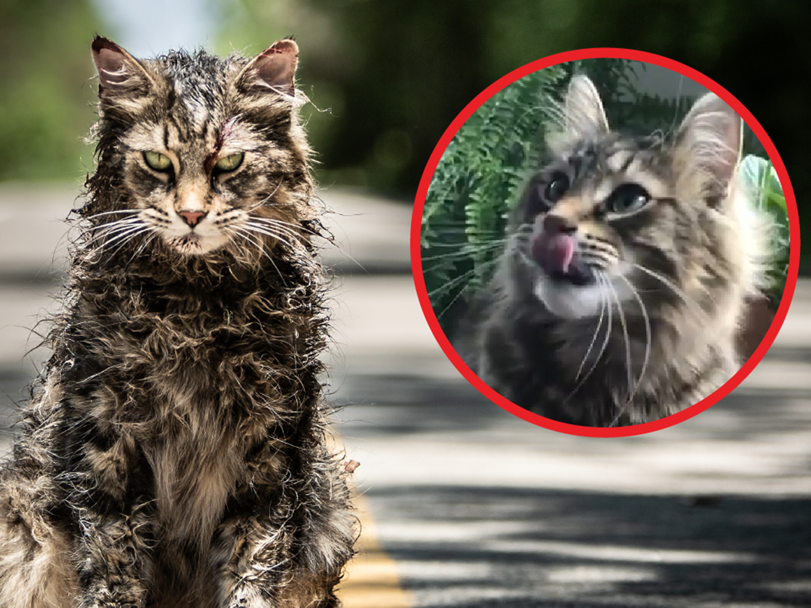 Prime Video: Movie Magic