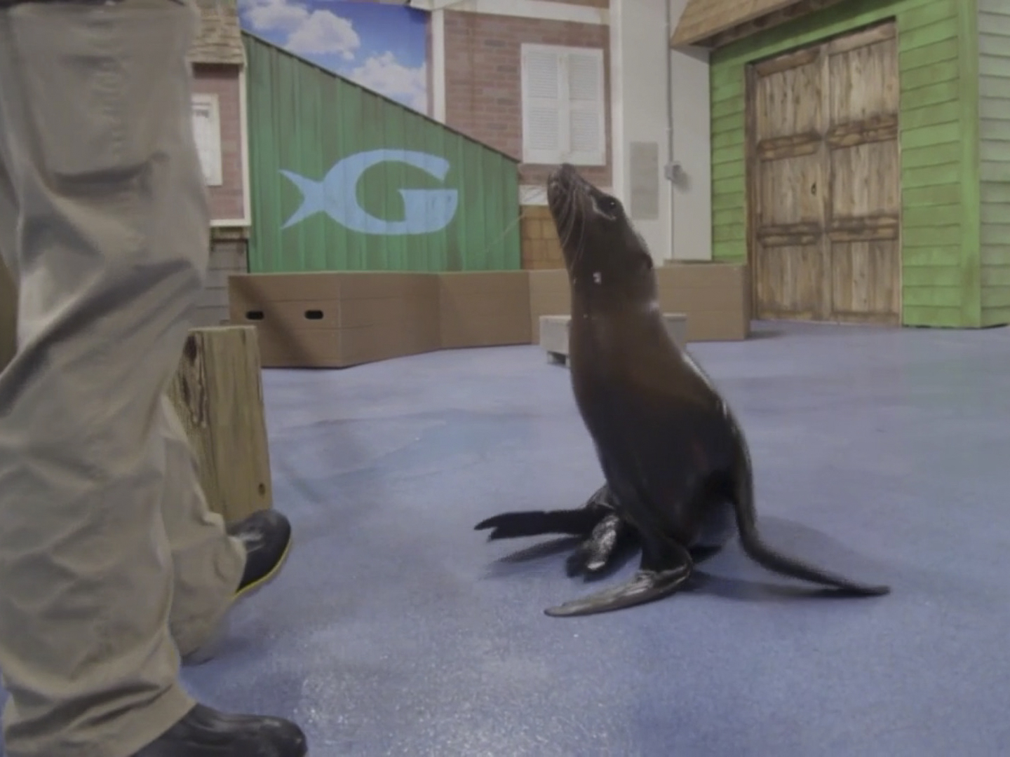 Prime Video: The Aquarium - Season 1