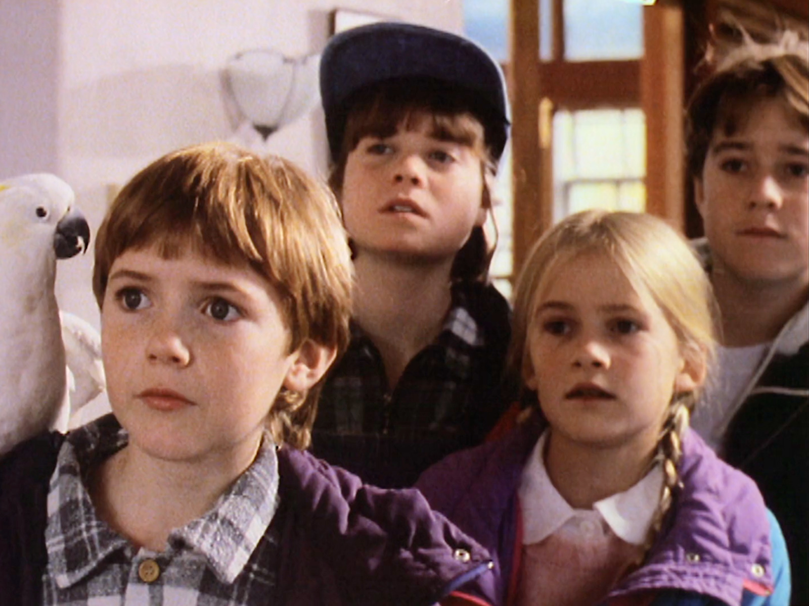 Prime Video: The Enid Blyton Adventure Series