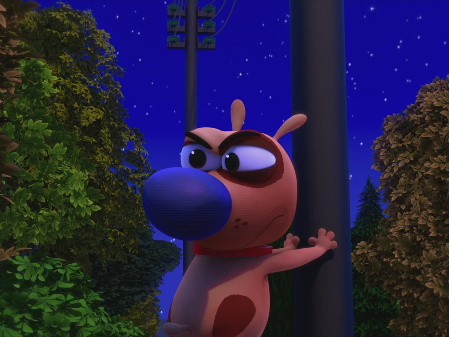 Prime Video: Pat the Dog - Season 1