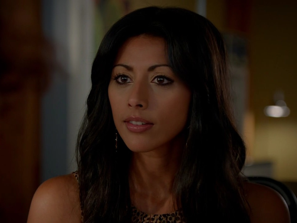 Prime Video: Royal Pains Season 6