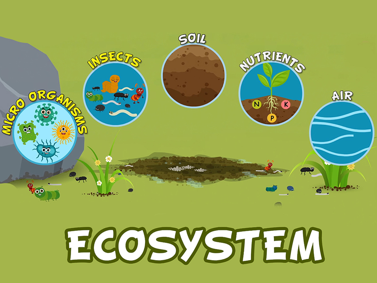 Prime Video: The Dr. Binocs Show