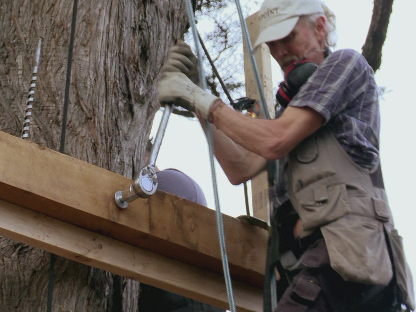 Prime Video: Treehouse Masters - Season 2