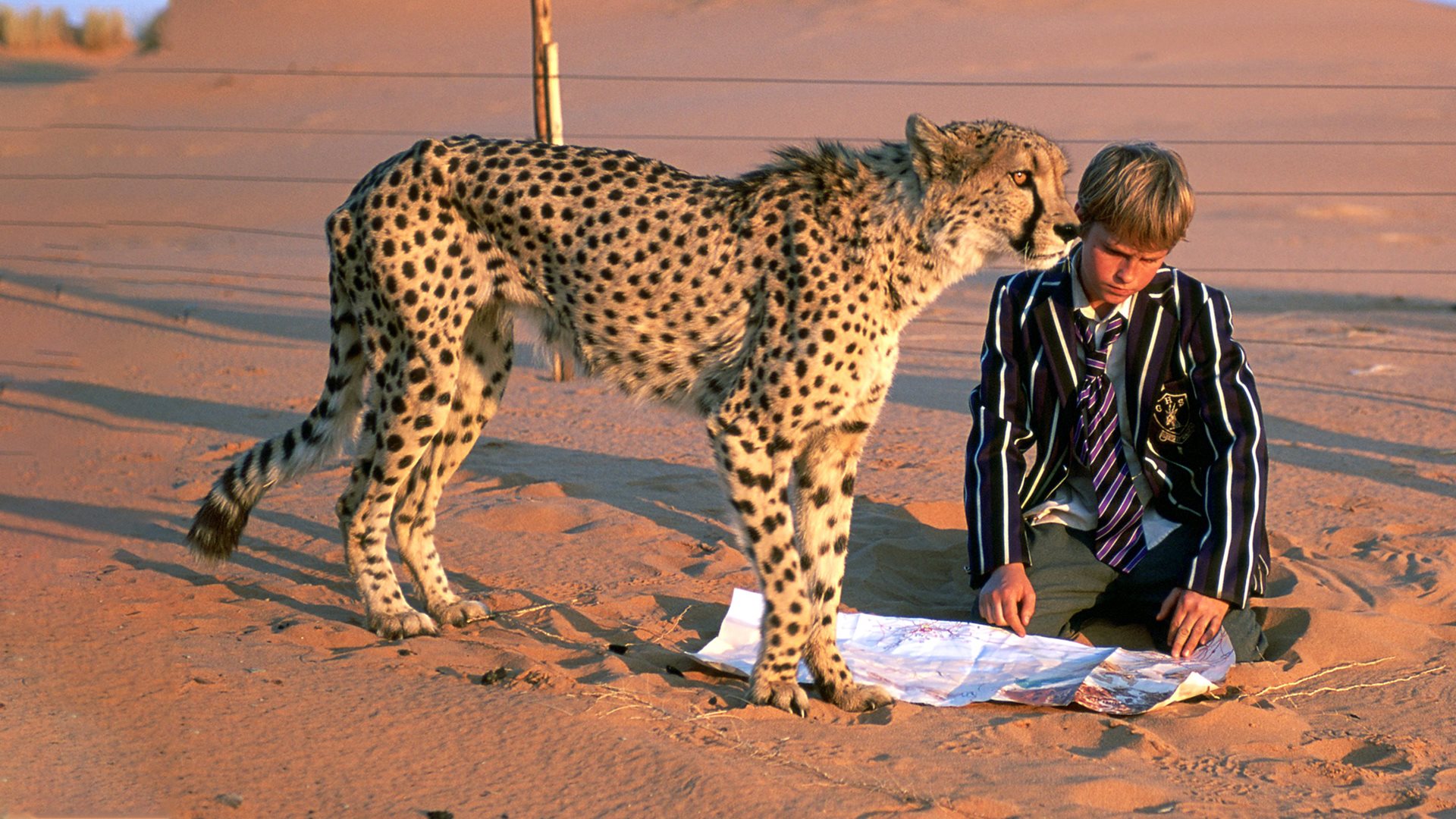 Prime Video: Duma (2005)