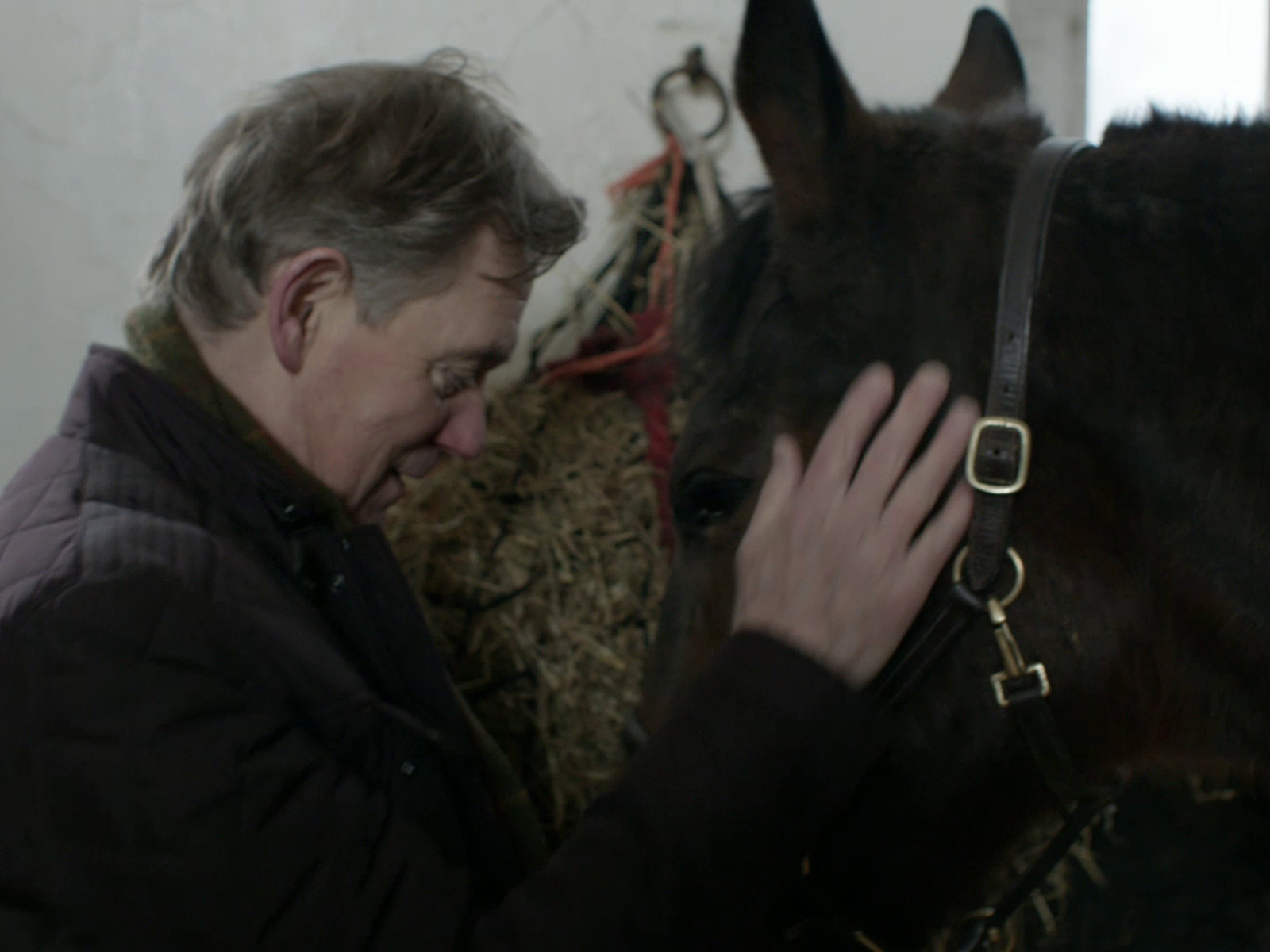 Prime Video: The Syndicate