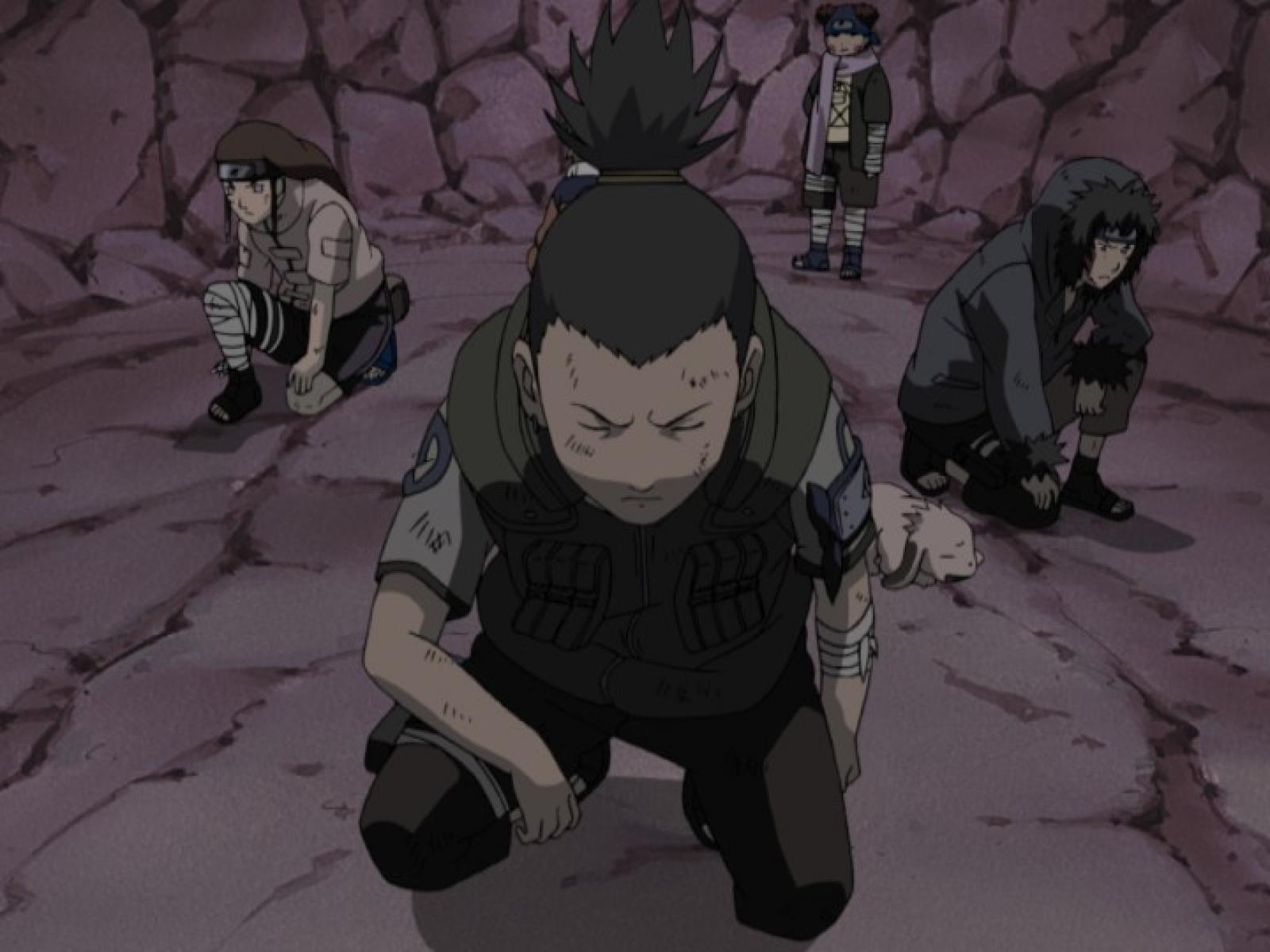 Prime Video: Naruto - Season 5