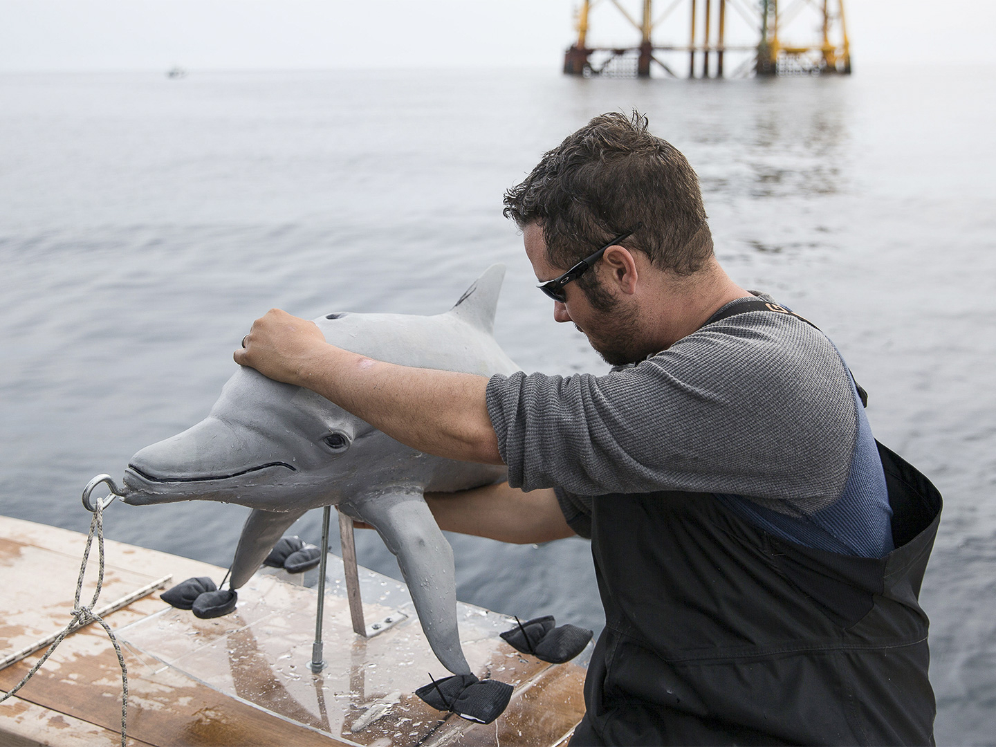 Prime Video: Shark Week - Season 2015