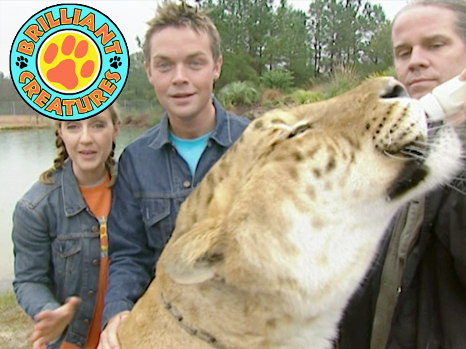 Prime Video: Brilliant Creatures