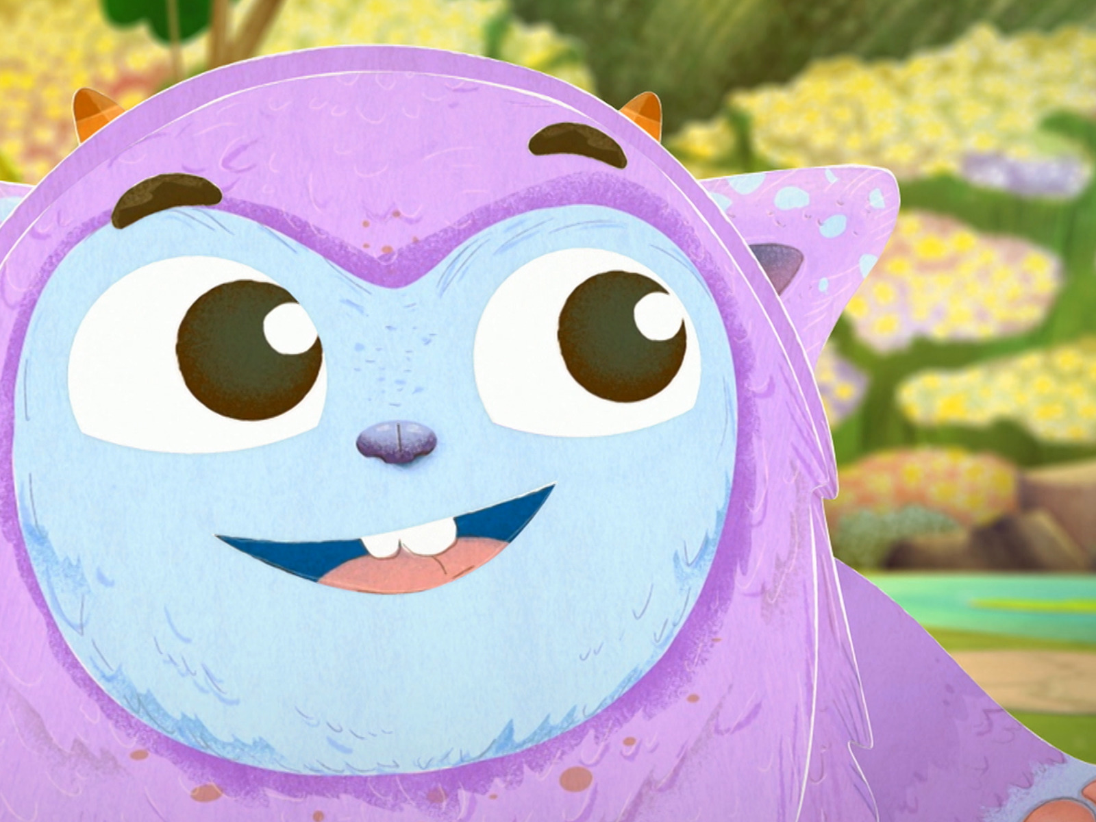 Prime Video: Zack & Quack