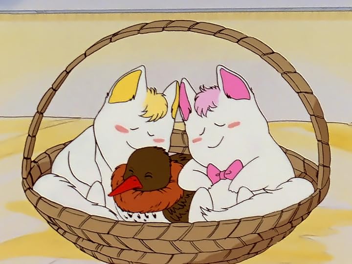 Prime Video: Sandy dai mille colori