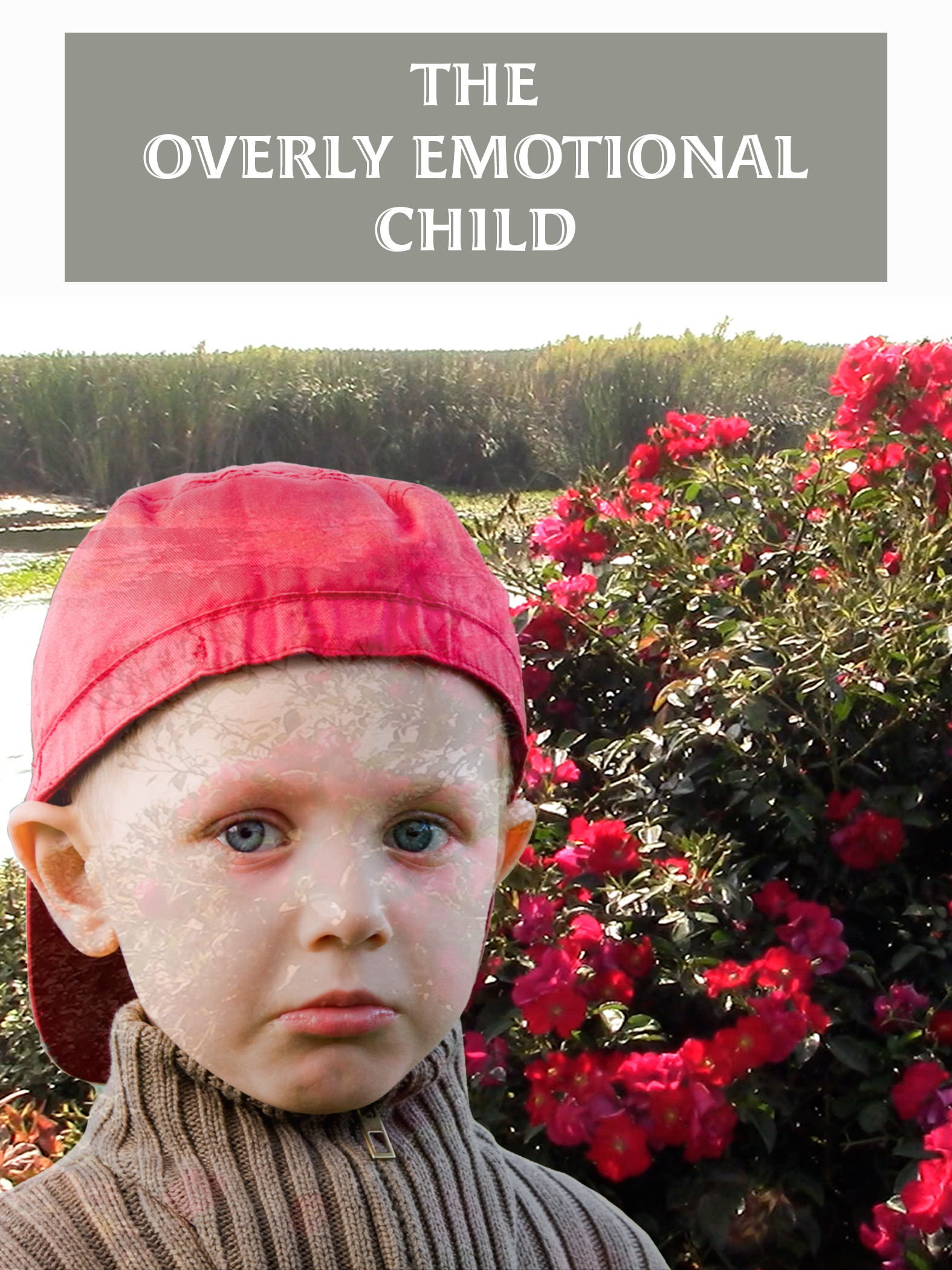 Prime Video: The Overly Emotional Child