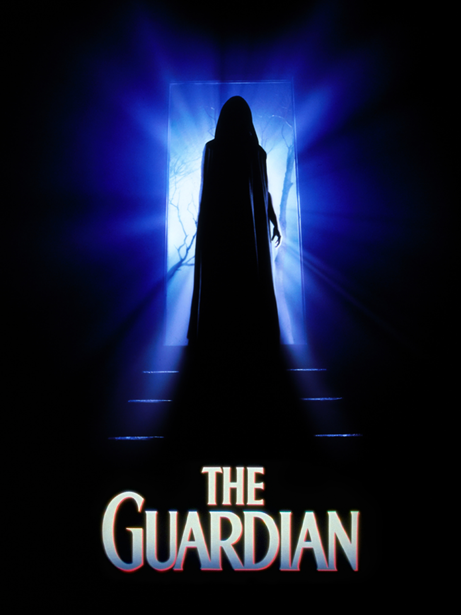 Prime Video: The Guardian