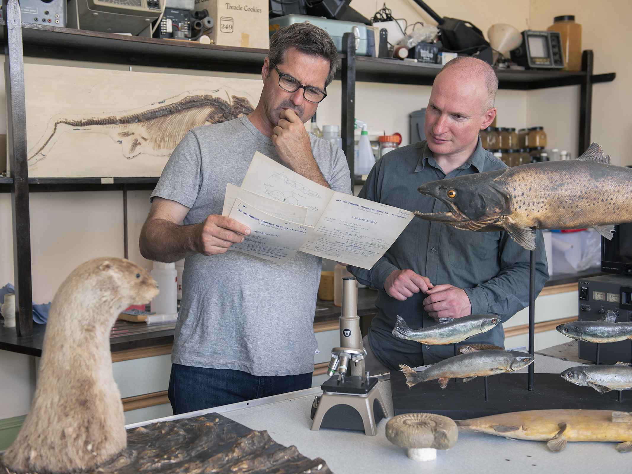 Prime Video: Mysteries at the Museum - Season 24