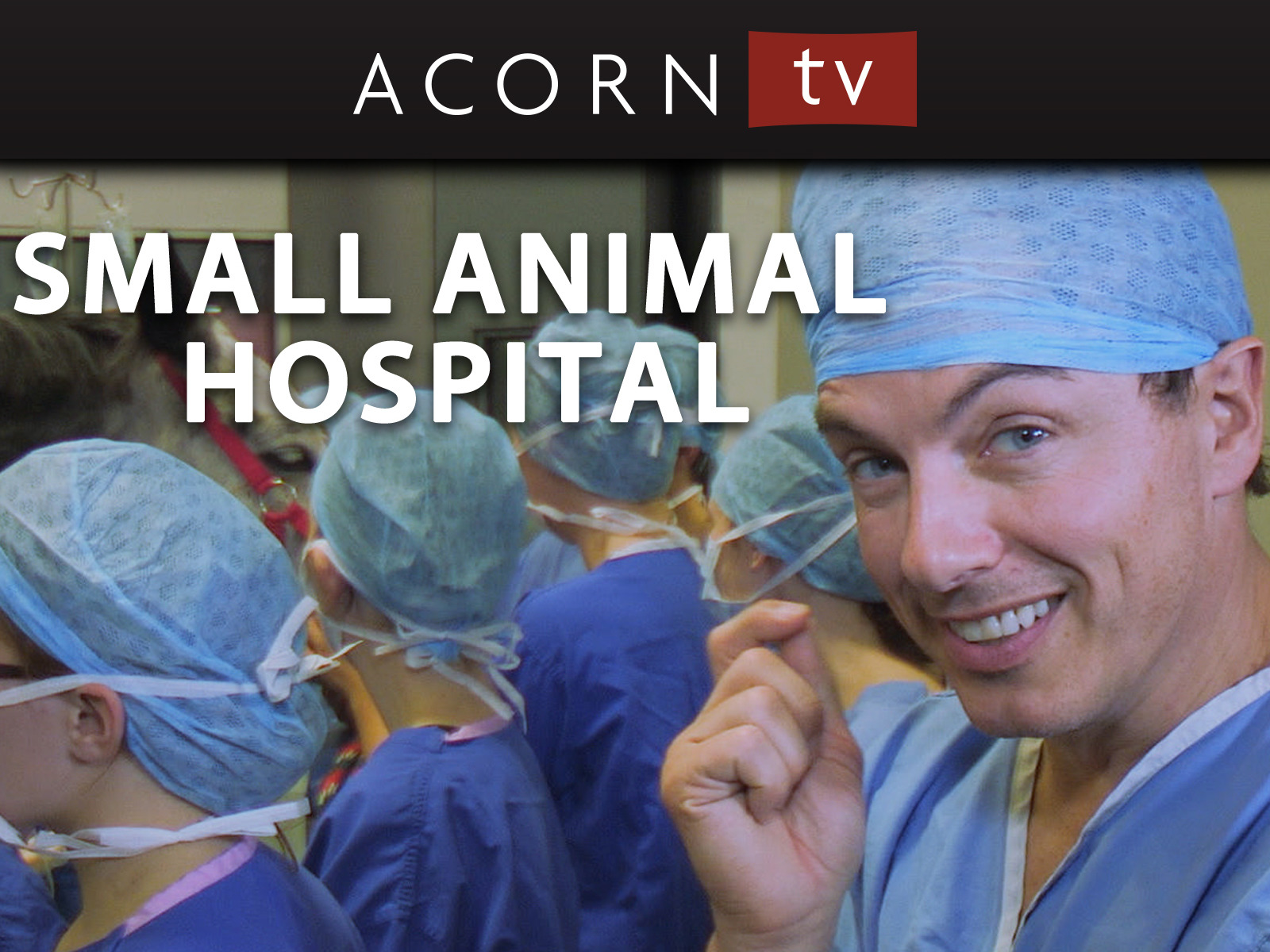 Prime Video: Small Animal Hospital