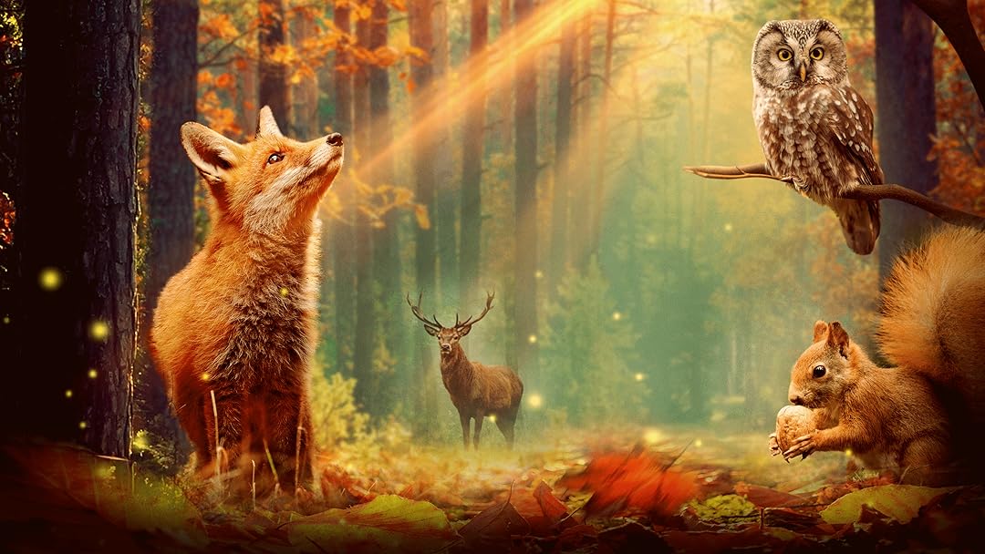 Prime Video: Autumnwatch (2020)
