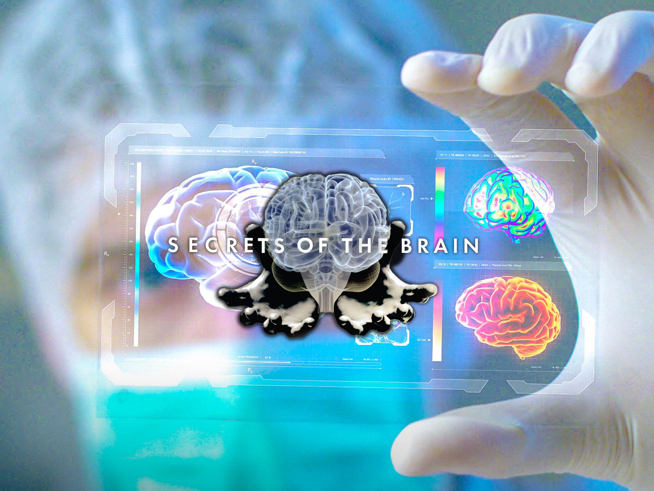 Prime Video: Secrets of the Brain - Season 2