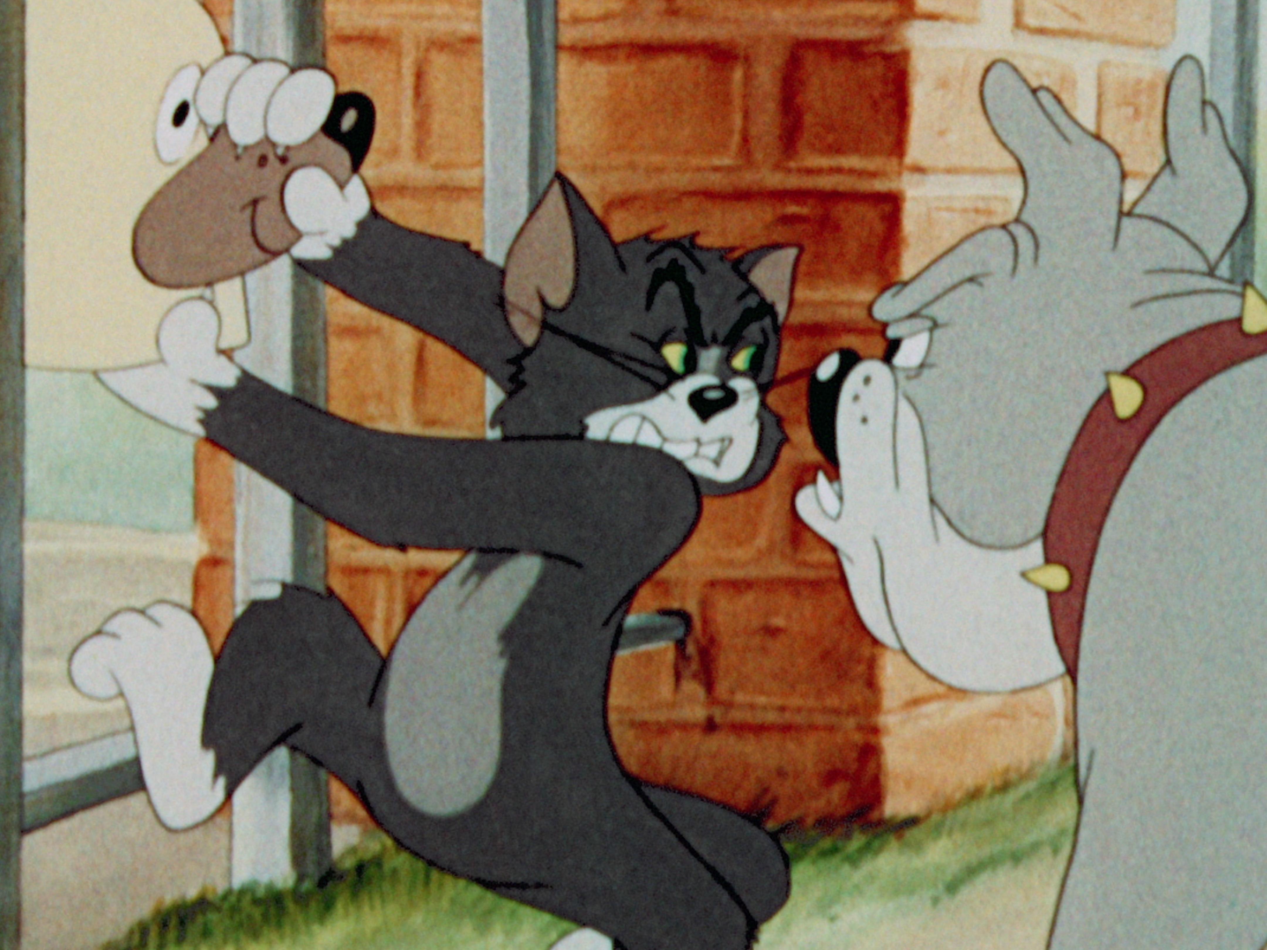 Prime Video: Tom and Jerry - Season 3