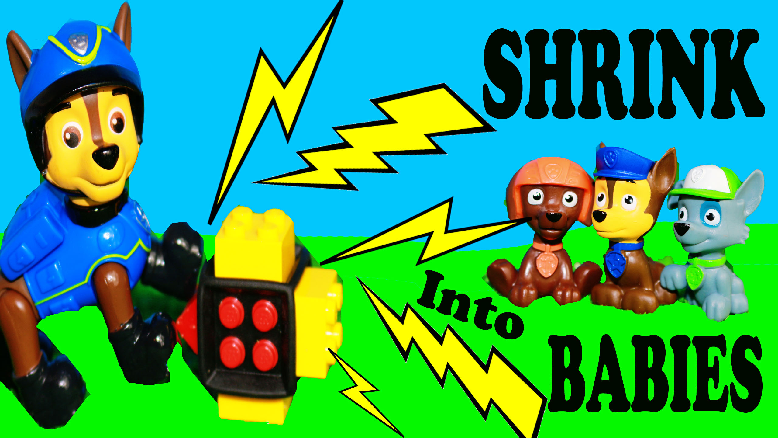 Amazon.co.jp: Paw Patrol Nickelodeon SHRINK into Baby Puppies! Chase ...