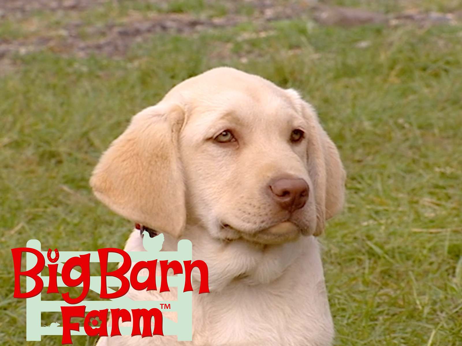 Prime Video: Big Barn Farm