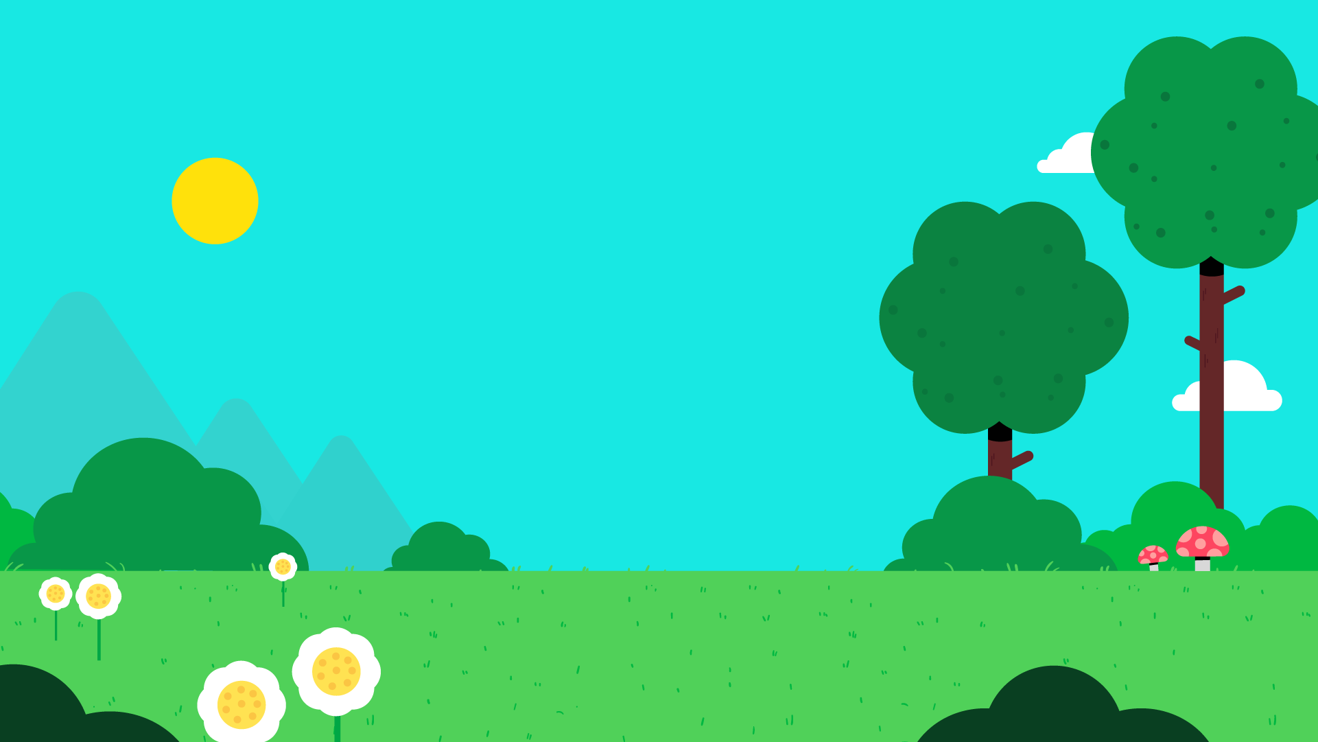 Watch Lingokids | Prime Video